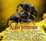 SEXUAL REPRODUCTION | ALIEN INTERVIEW Official Website