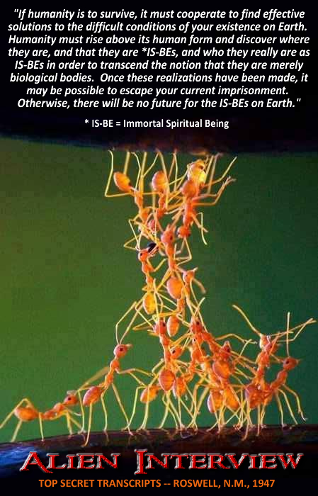 ALIEN INTERVIEW Official Website | Nurse reveals Top Secret transcripts ...